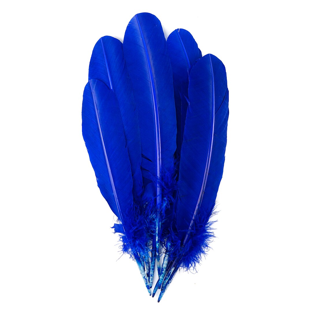 Royal Dyed Turkey Quill Feathers, Bulk Turkey Quills 8-12” for Cosplay ...