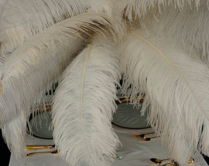 Large Ostrich Feathers 17-25, 1 to 25 Pieces Prime Ostrich Femina Wing ...