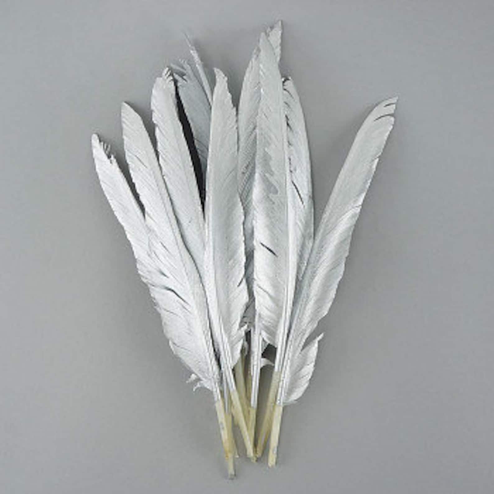 9-12 SILVER Gilded Goose Pointer Feathers 12 Pieces - Etsy