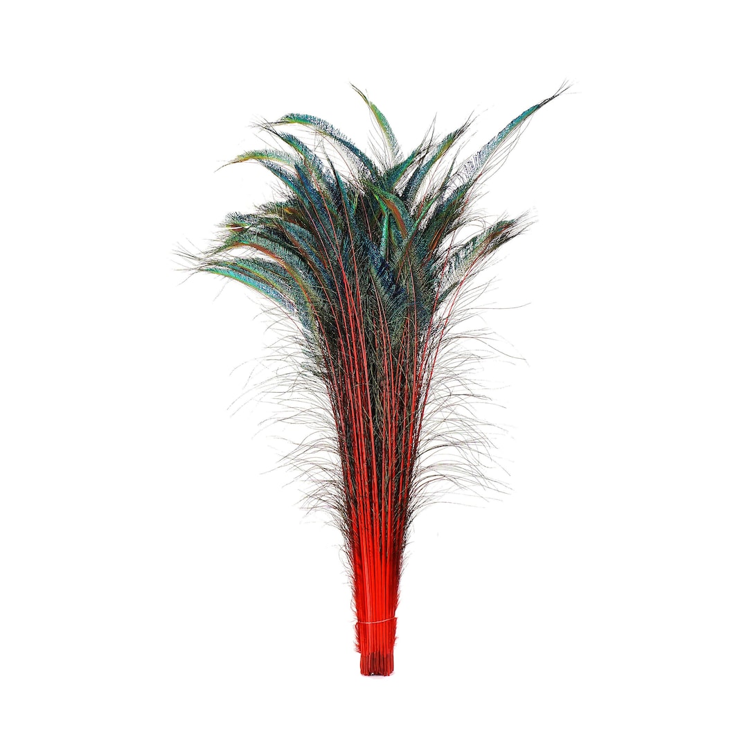 Long Peacock Swords 10 to 100 Pcs 25-40" Stem Dyed RED Floral Decor ...