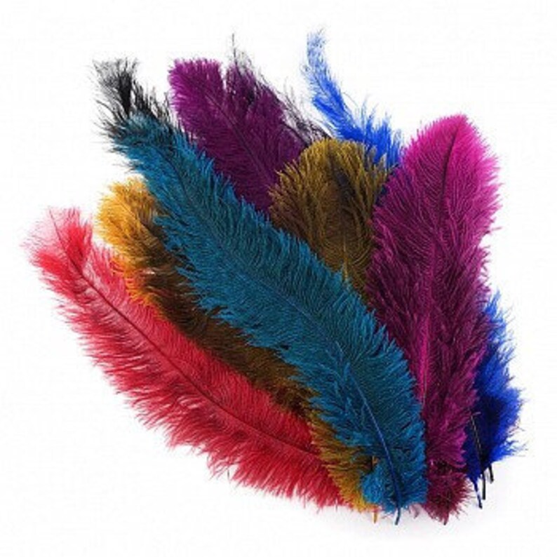 PLUM 10-15 Ostrich Floss Feathers 50PCS for Floral - Etsy