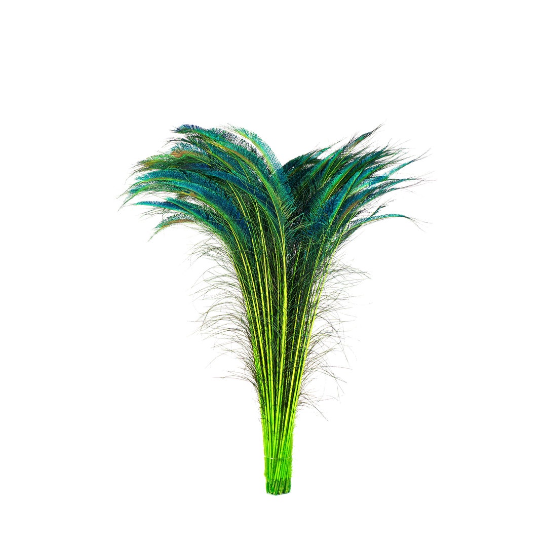 Long Stem Dyed Peacock Sword Feathers 25-40", Lime Green, Floral Decor ...