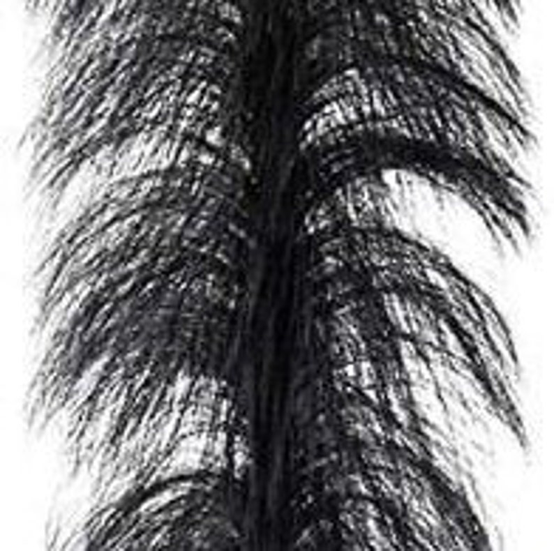 Faux Ostrich Feather Stems, Black Fake Ostrich Feathers, Faux Pampas ...