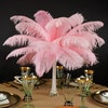 Economy Plastic Fan Staves for DIY Feather Fans, Blank Fan Base With 10 ...