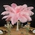 Economy Plastic Fan Staves for DIY Feather Fans, Blank Fan Base With 10 ...