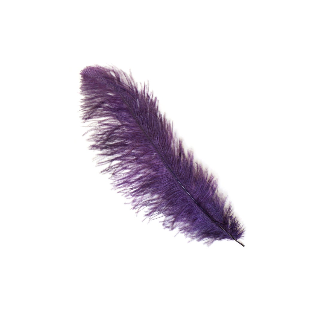 PLUM 10-15" Ostrich Floss Feathers 50PCS for Floral Bouquets, Small ...