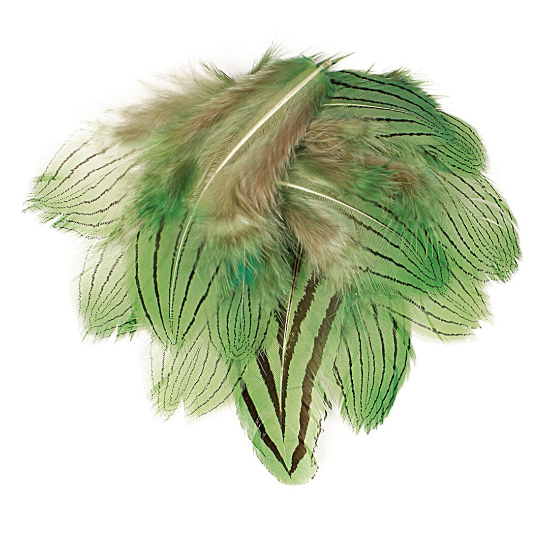 Sage Silver Pheasant Plumage, Unique Feathers, 1 DOZEN 2-4", Dyed ...