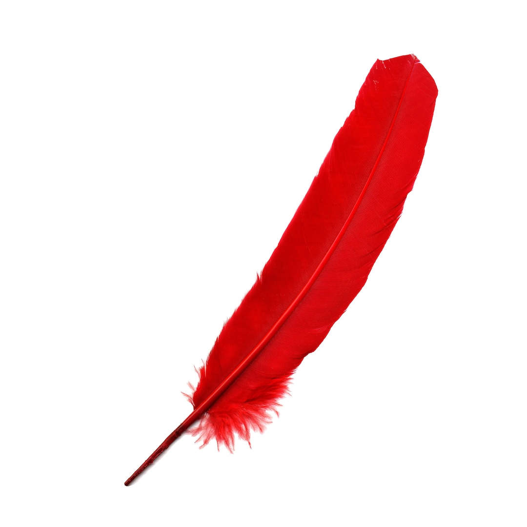 Turkey Feathers, 1DZ RED Turkey Quills - RED Parried Turkey Quills for ...