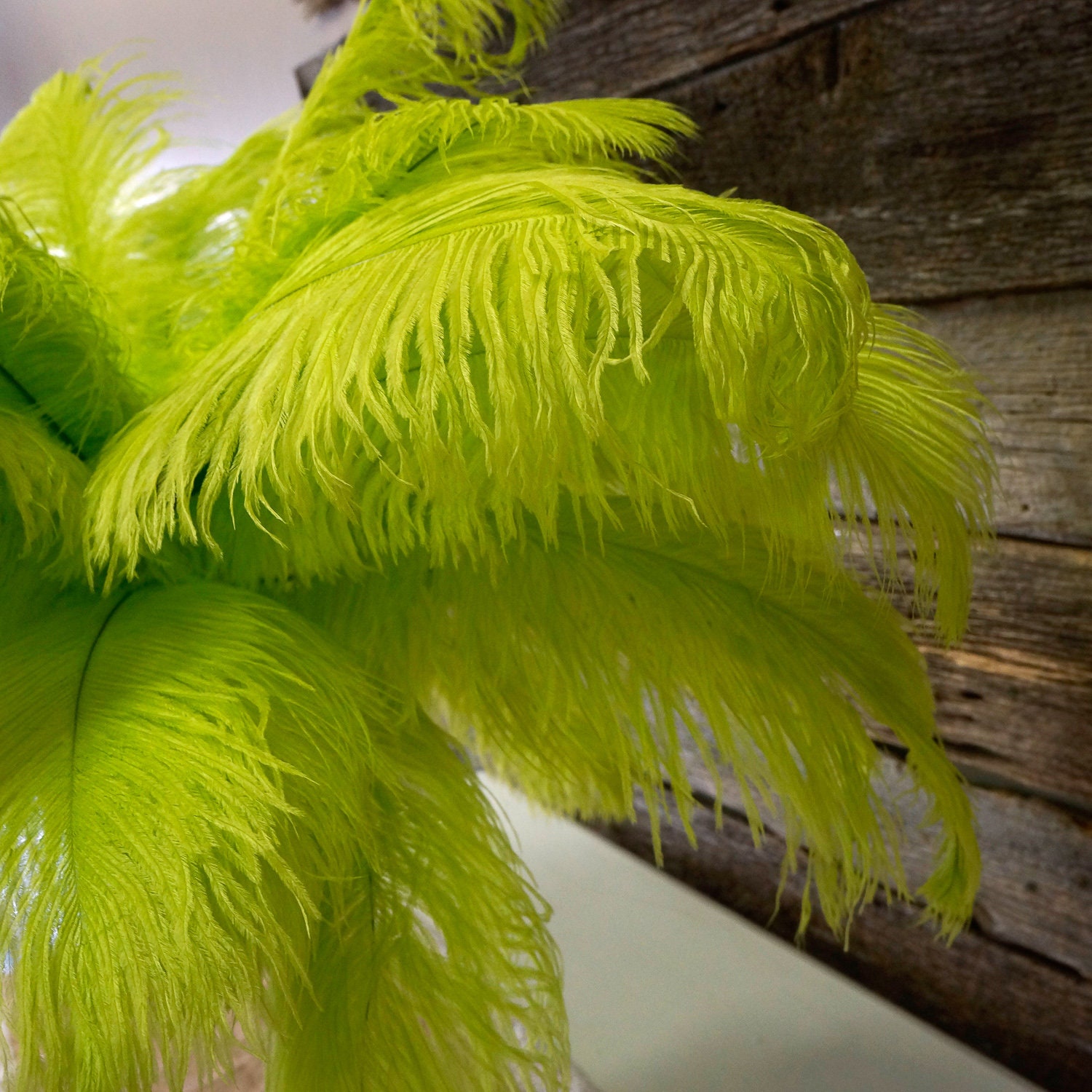 Neon Feather Centerpieces