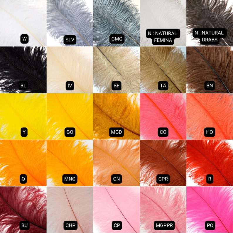 CUSTOM Multi Color Ostrich Feather Wings Made to Order With - Etsy