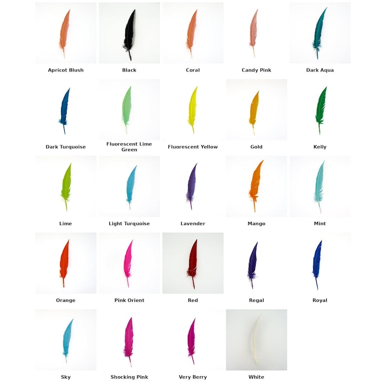 Dagger Cut Turkey Quill Feathers, 8-12", Costume Design 100 Pieces Left ...