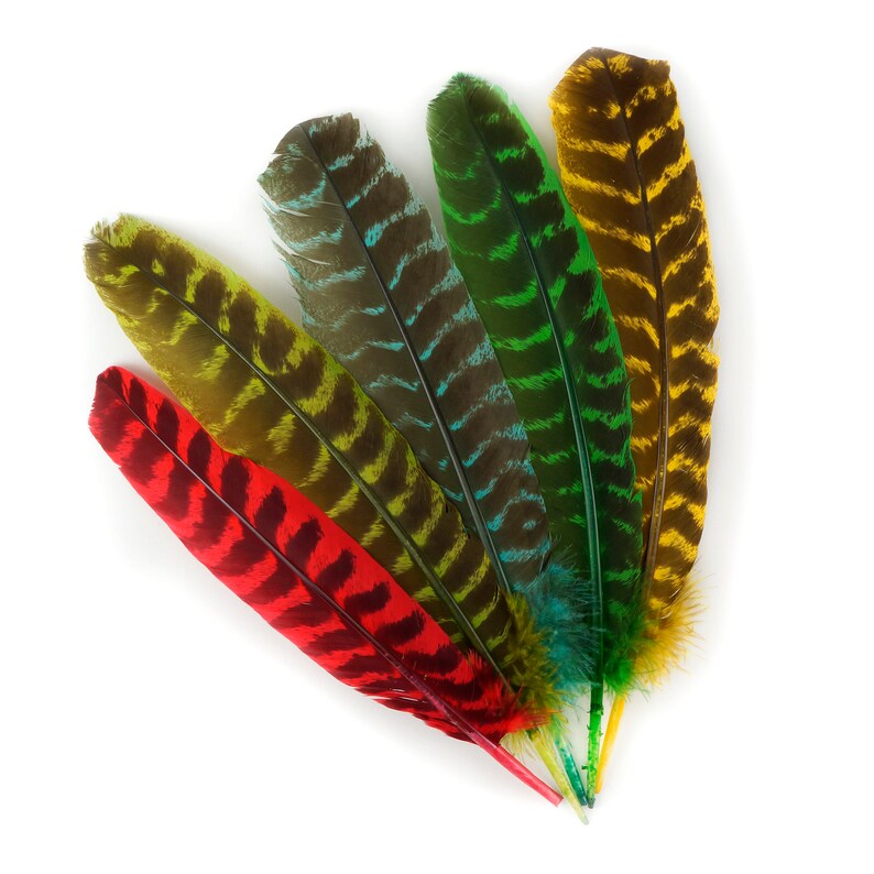 Kelly Green Turkey Feathers, Barred Quills 8-12" for Crafts Left Wing ...