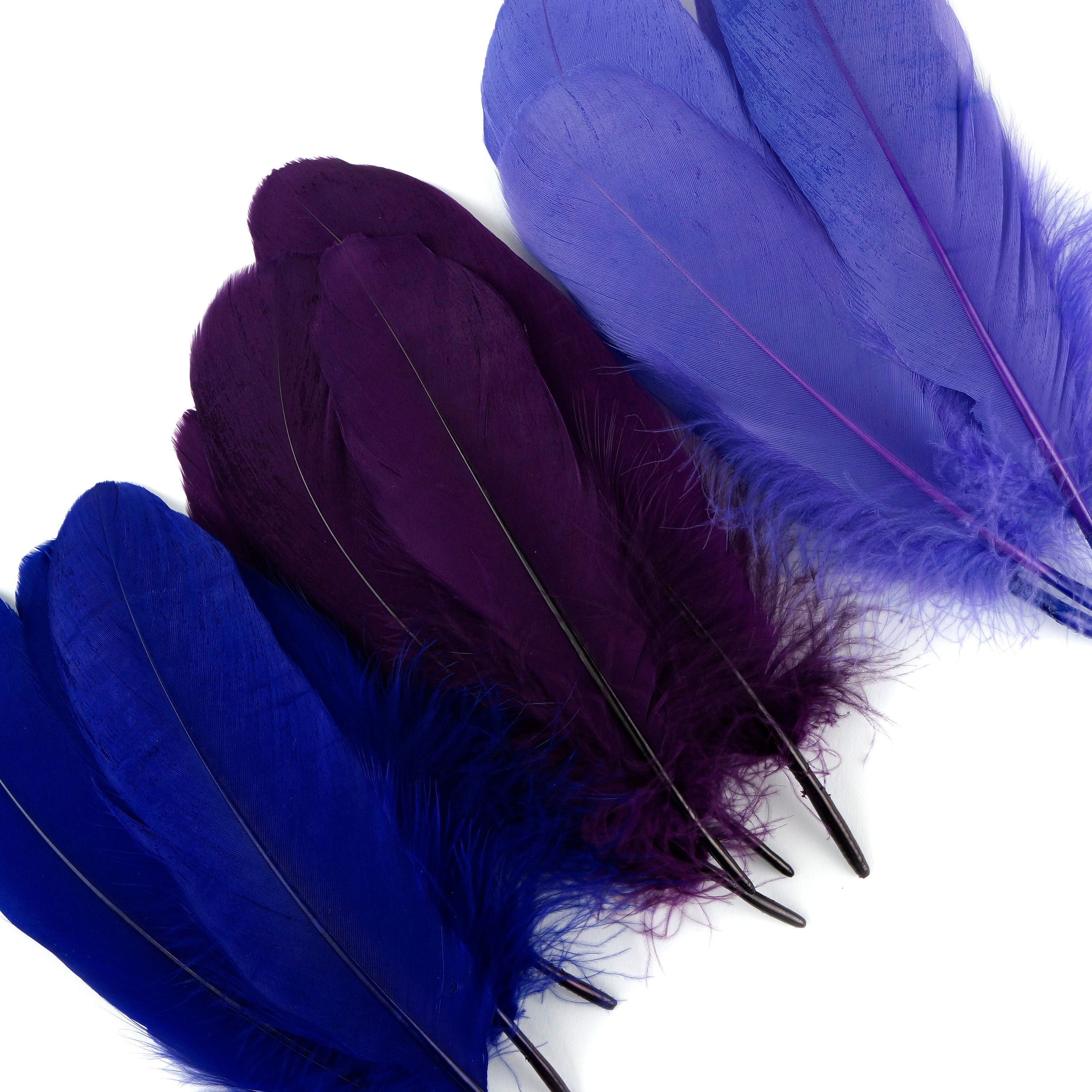 Mixed Dyed Goose Pallet Feathers 12 Pieces SUGAR PLUM Goose Feathers ...