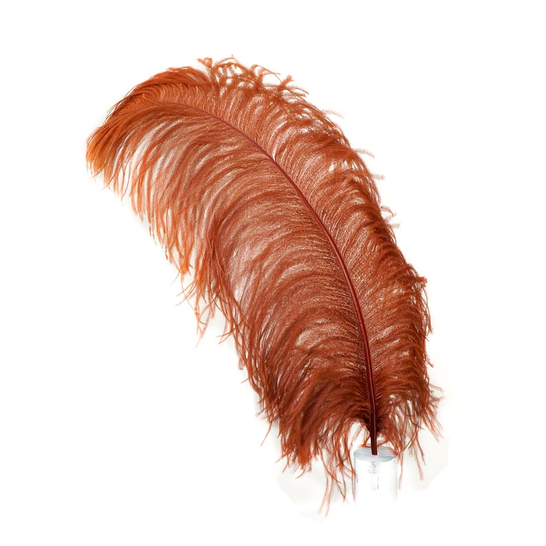Large COPPER Brown Ostrich Feathers 17-25", Femina Wing Plumes 25 ...