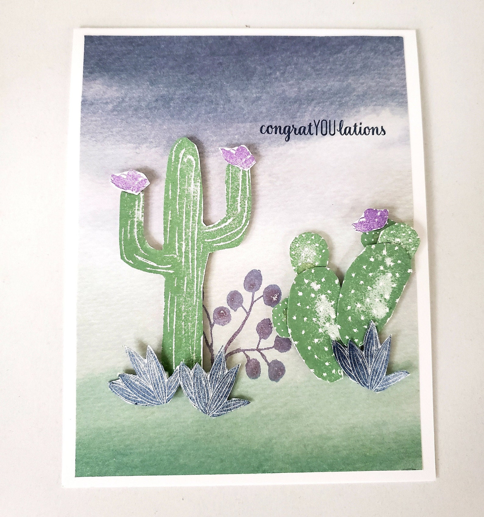 Congratulation Card Cactus Congratulation Card Desert - Etsy
