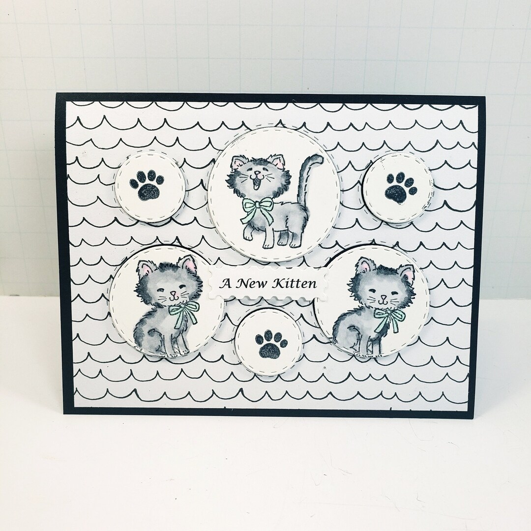 Congratulations Card - New Kitten - New Kitten Congrats Card - Handmade ...