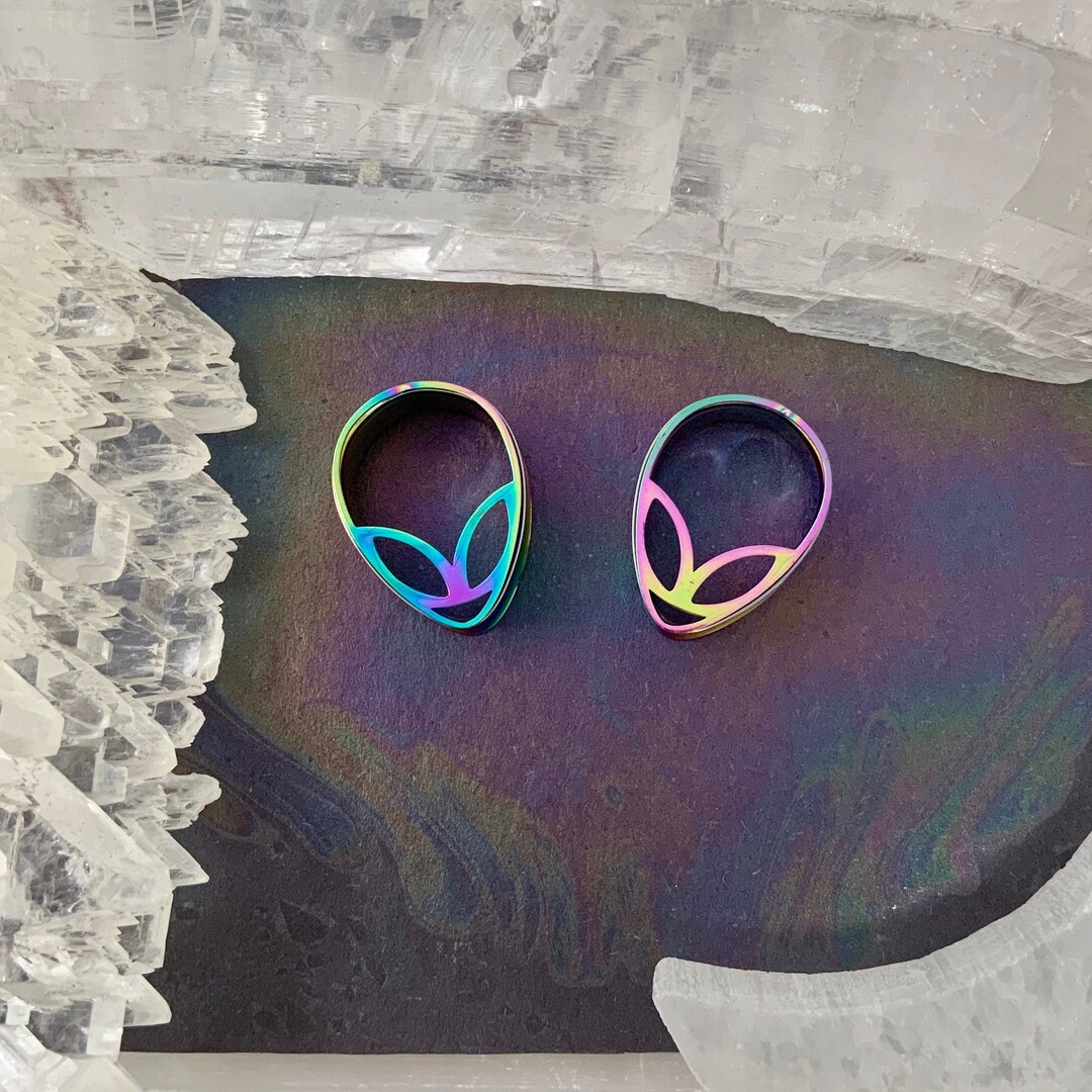 Alien Babes Rainbow Steel Teardrop Ear Plugs Gauges Tunnels - Etsy