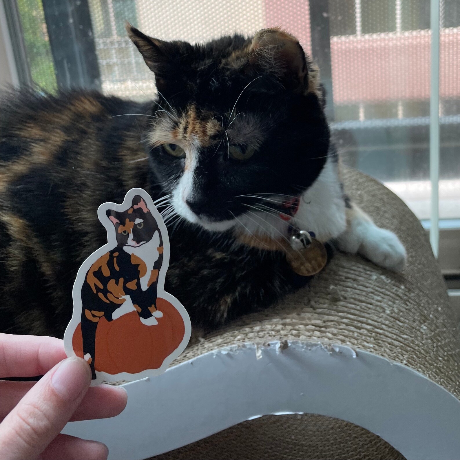 Calico Cat Pumpkin Fall Autumn Vinyl Sticker Three Inch 3” - Etsy
