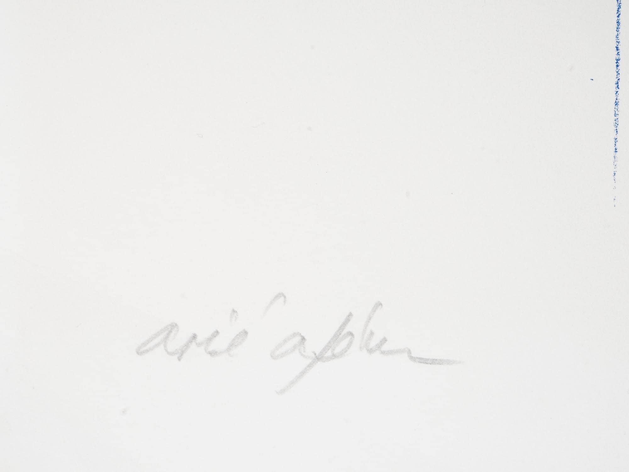 Signed Lithograph Print on Paper by Arie Azene an Israeli - Etsy