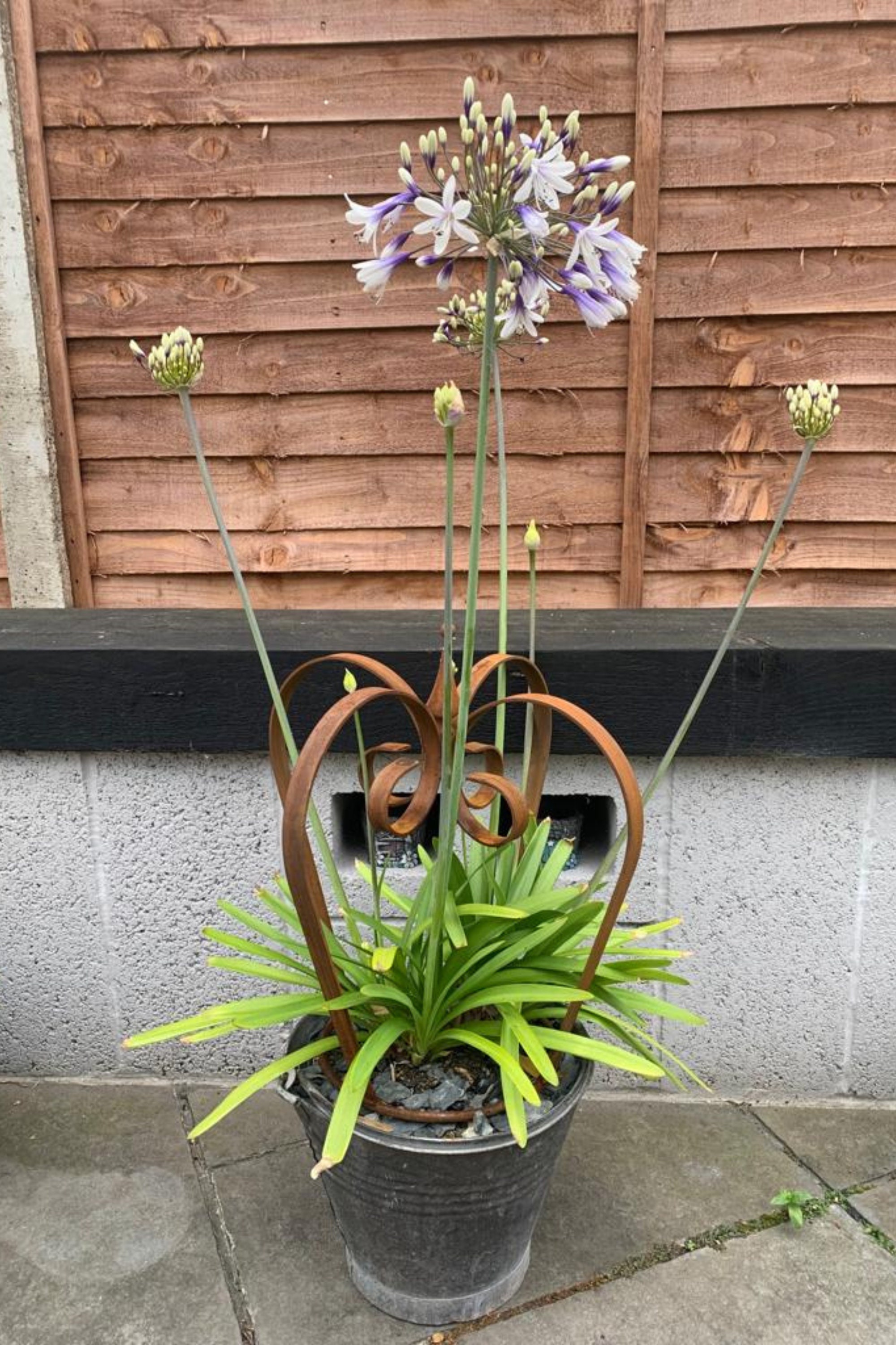 Rustic Garden Crown Rustic Garden Decor Garden Ornament Rustic Crown - Etsy