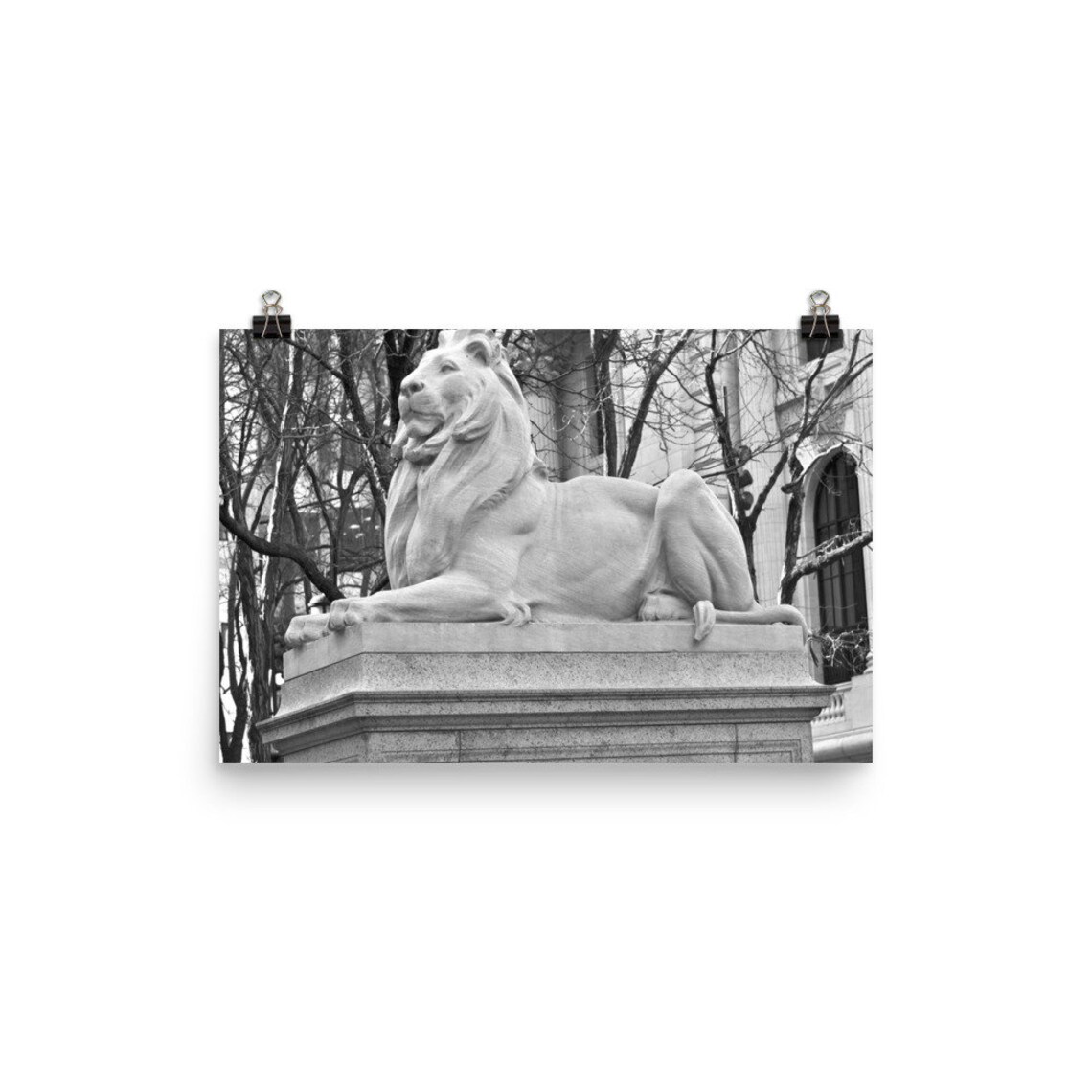 New York Public Library Lion Photo Poster Vintage Photo - Etsy