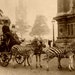 Vintage Historic Reproduction Photo Zebra Drawn Carriage Unframed - Etsy
