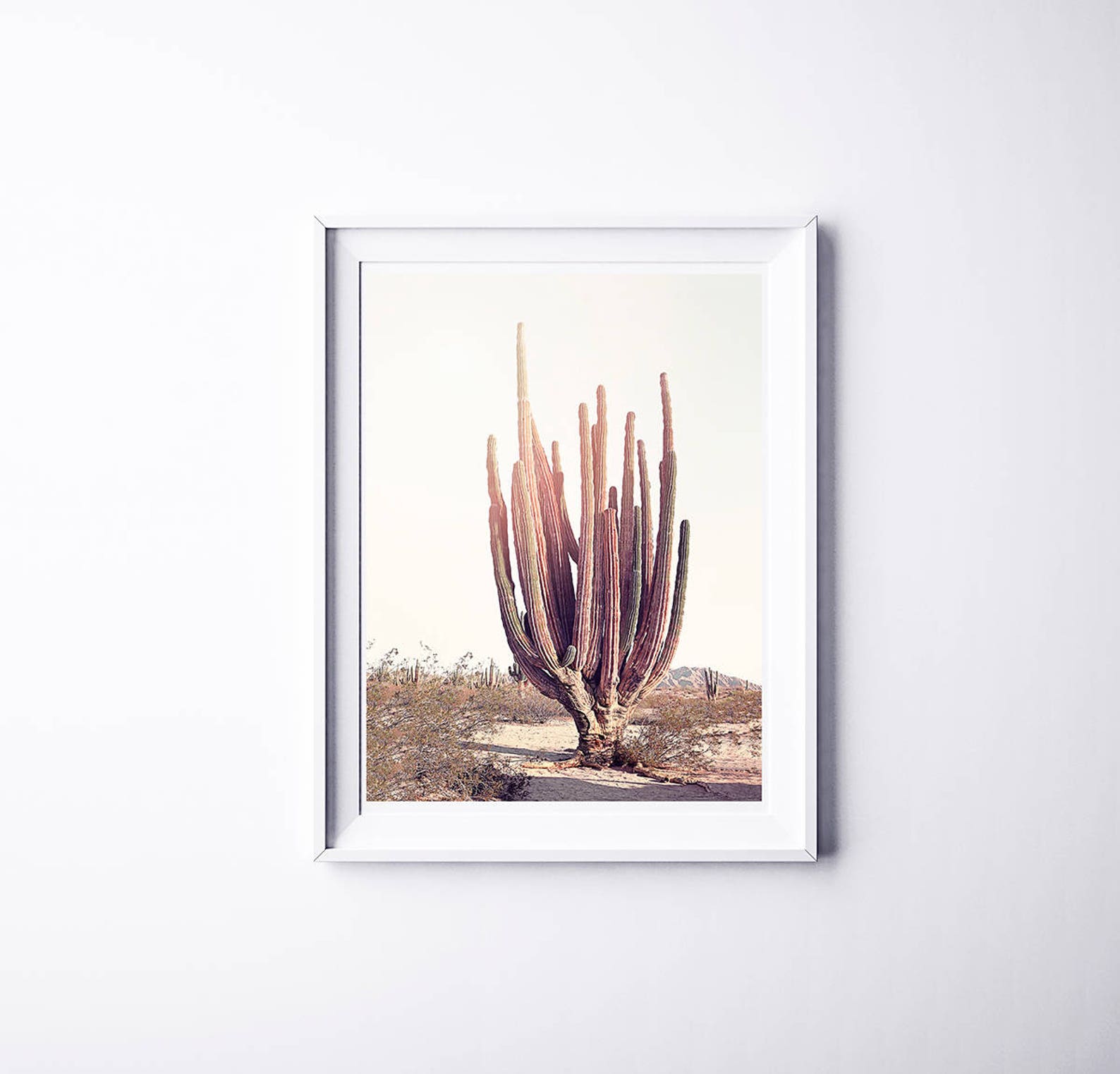 Desert Cactus Print Digital Download Cactus Wall Art Desert | Etsy