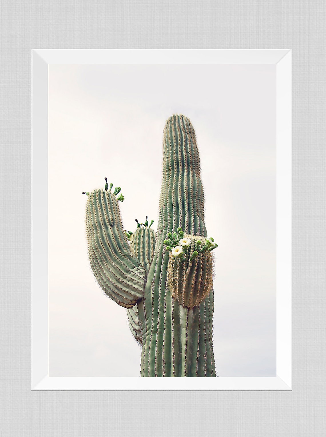Arizona Cactus Print Large Desert Cacti Wall Art Blooming | Etsy