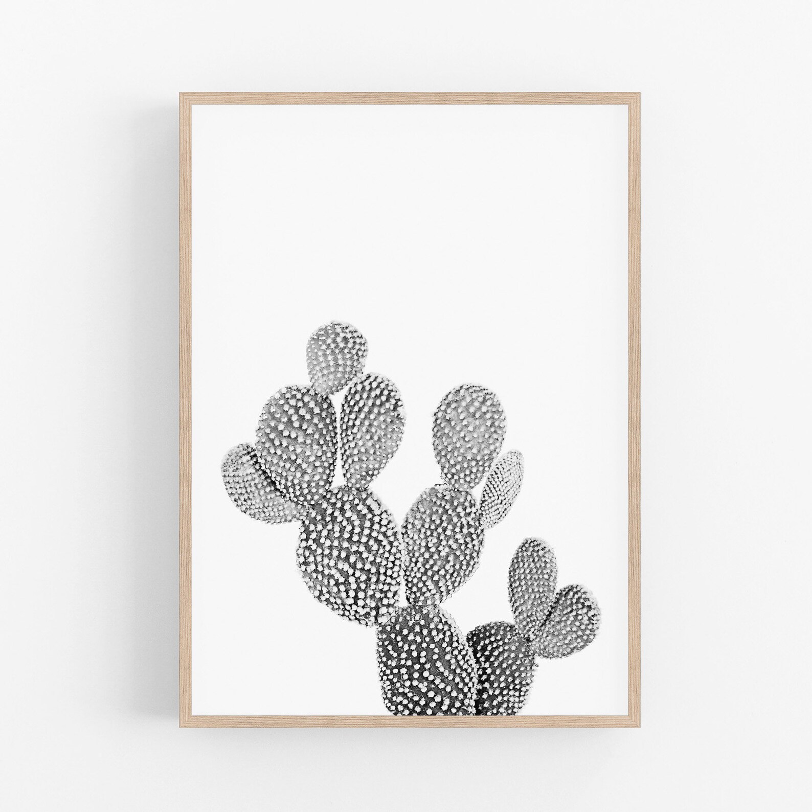Boho Cactus Decor Printable Wall Art Set - Etsy