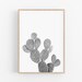 Boho Cactus Decor Printable Wall Art Set - Etsy