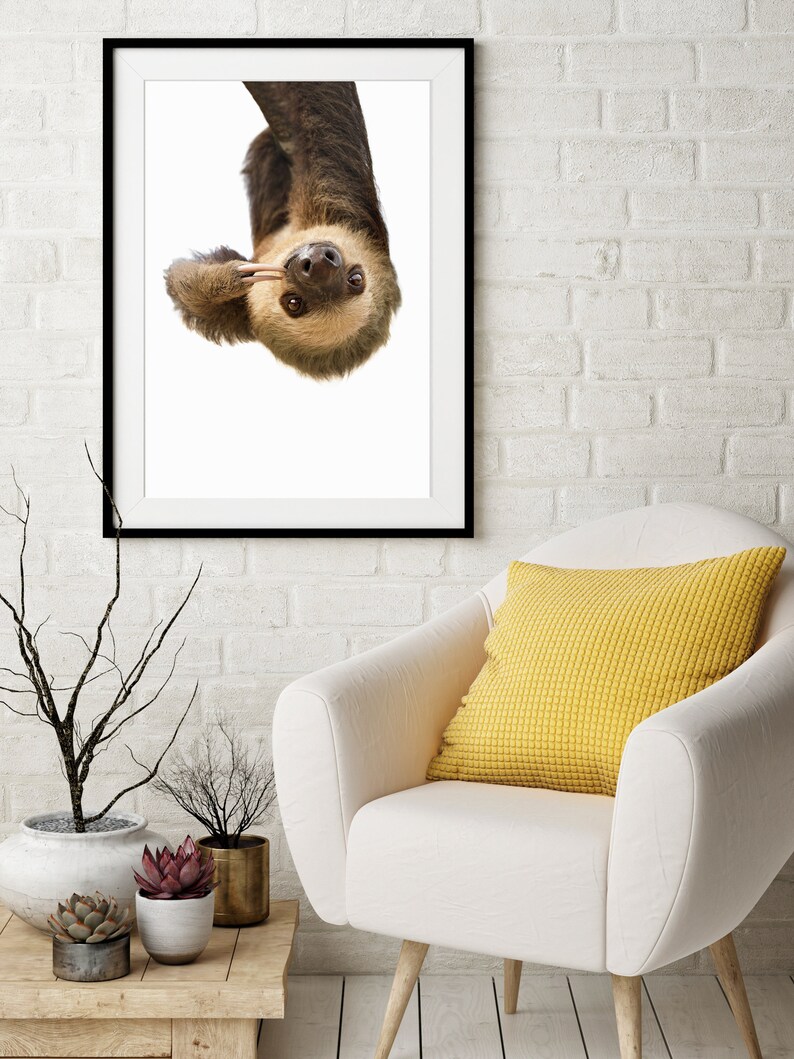 Sloth Print Digital Download Baby Animal Nursery Decor | Etsy