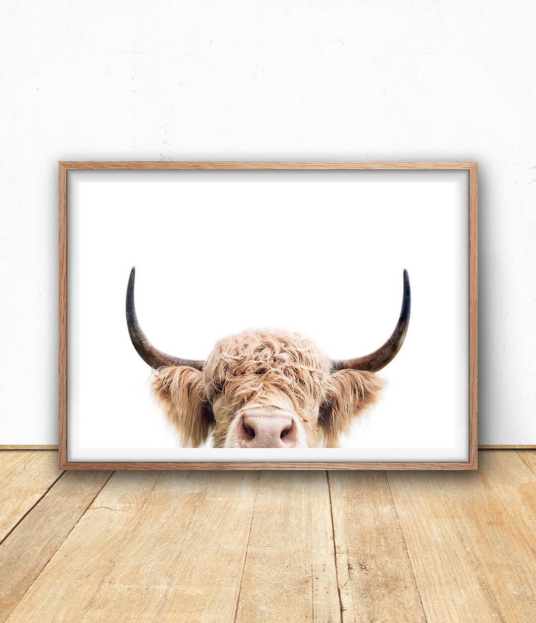 Highland Cow Print, Digital Download, Cow Poster, Cattle Photography ...