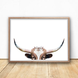 Longhorn Print, Digital Download, Cattle Photography, Range Wall Art ...