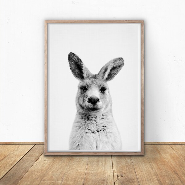 Kangaroo Print - Etsy Australia