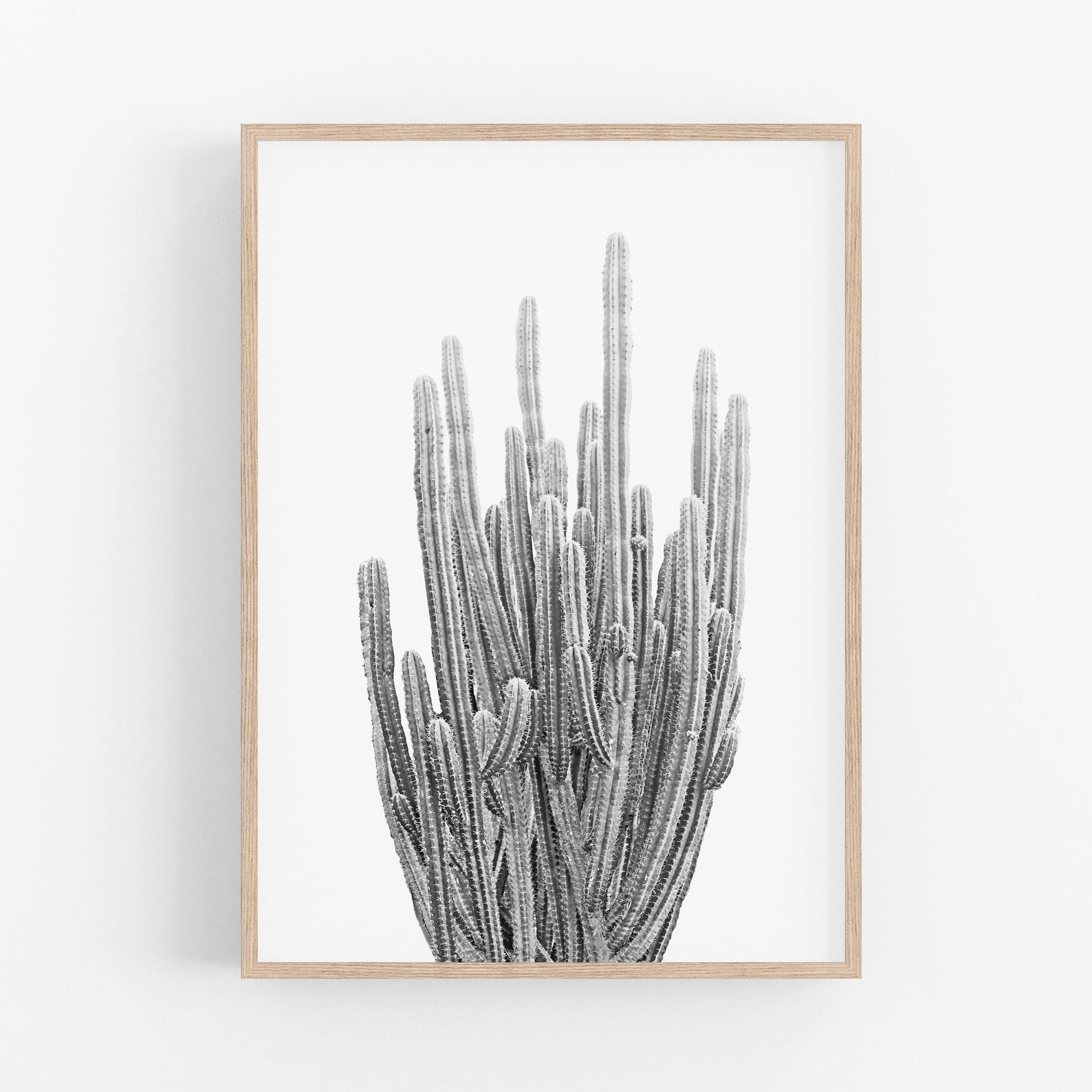 Boho Cactus Decor Printable Wall Art Set - Etsy