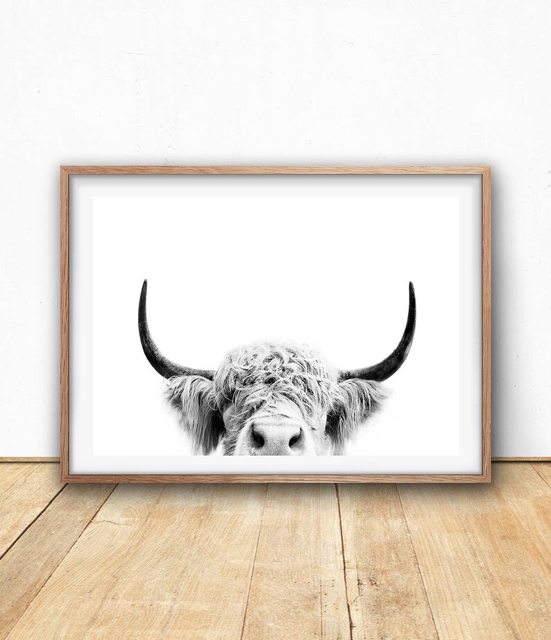 Highland Cow Print Farm Animal Wall Art Digital Download - Etsy