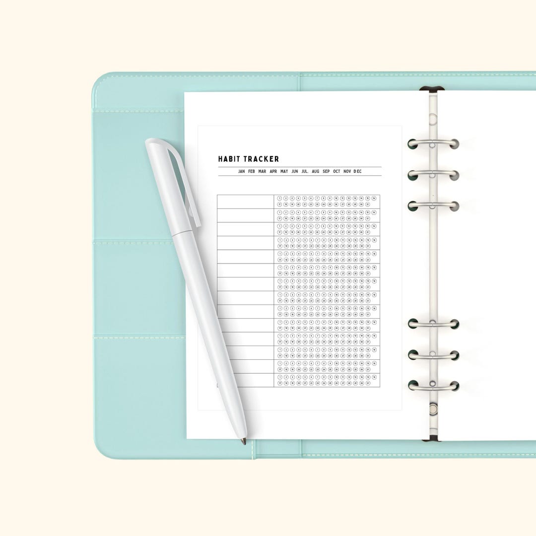 Habit Tracker Page, Undated D.I.Y Planner, Large Planner Sticker ...
