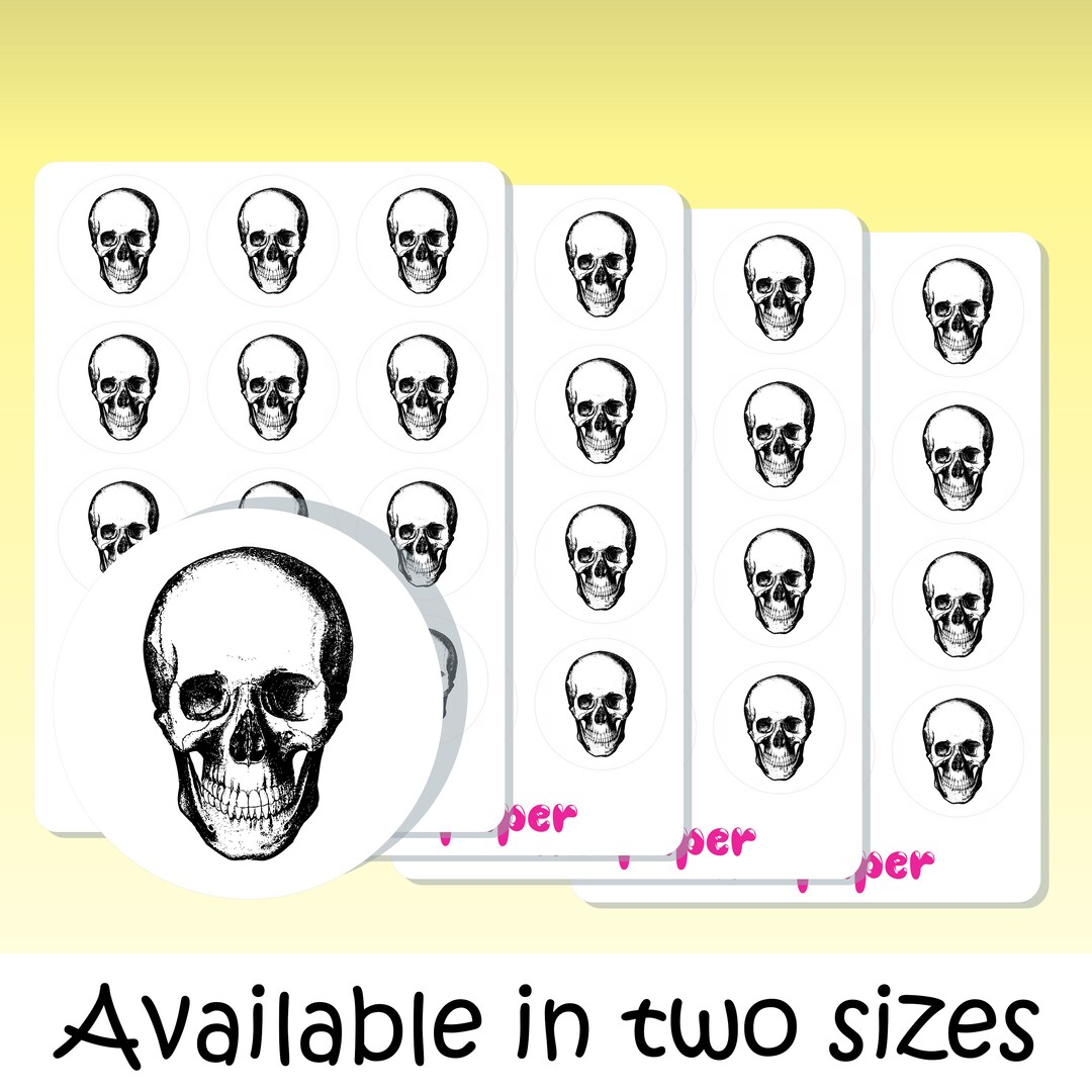 Anatomical Skull Stickers, Skull Anatomical Stickers, Stickers ...