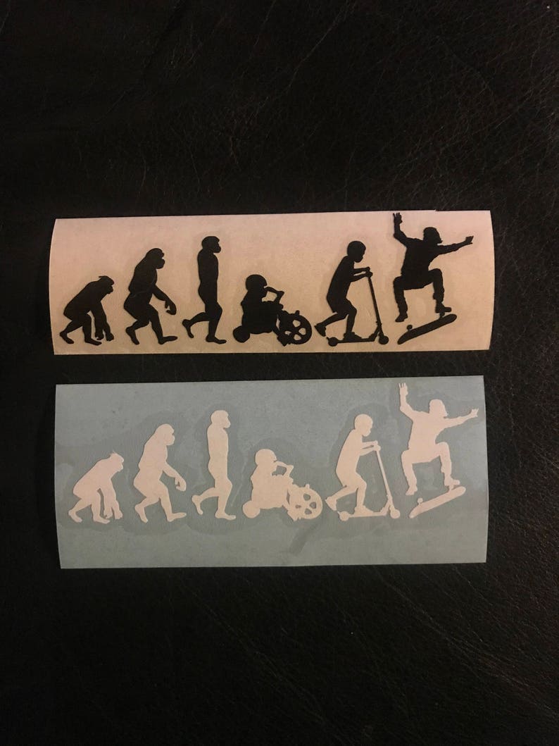 Skateboarding Evolution Sticker - Etsy