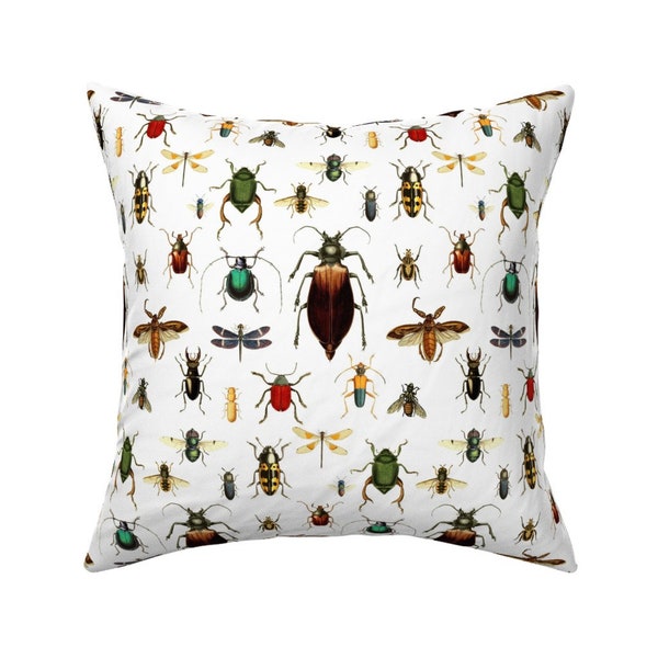 Insect Collection - Etsy