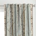 Rustic Trees Curtain Panel Birch Grove in Overcast by ...