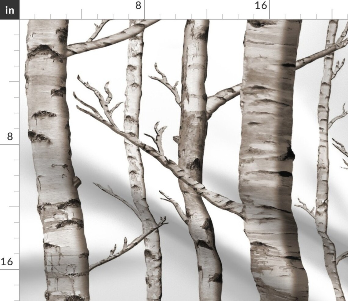 Woodland Forest Curtain Panel Birch Forest on White by - Etsy