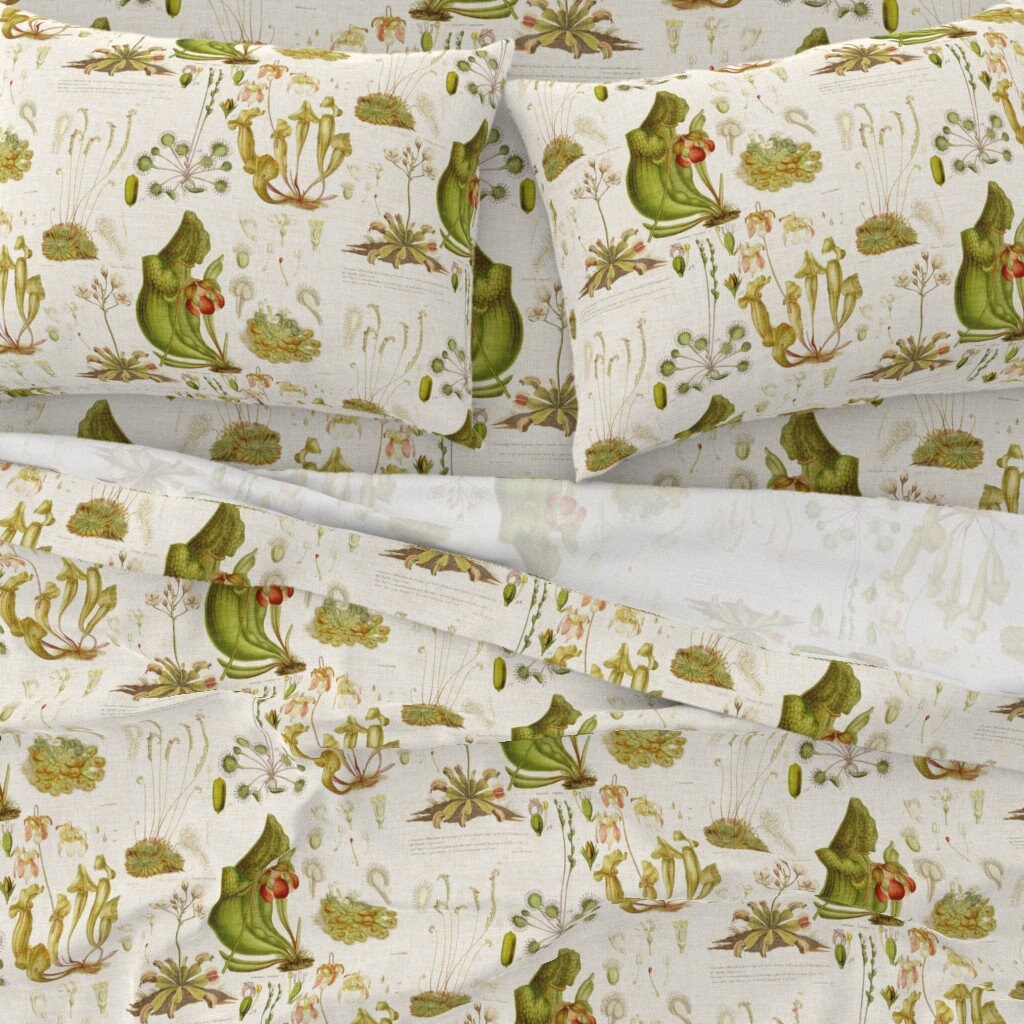 Botanical Sheets Carnivorous Plant Illustration by | Etsy