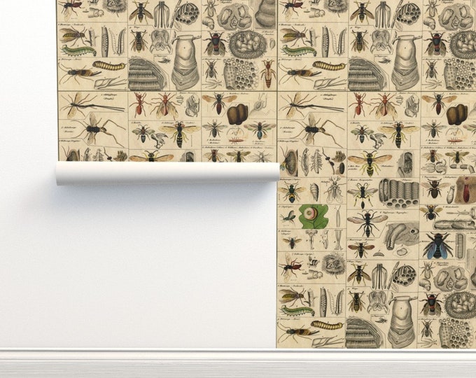 Insects Wallpaper Bugging Out by Peacoquettedesigns Entomology Custom ...