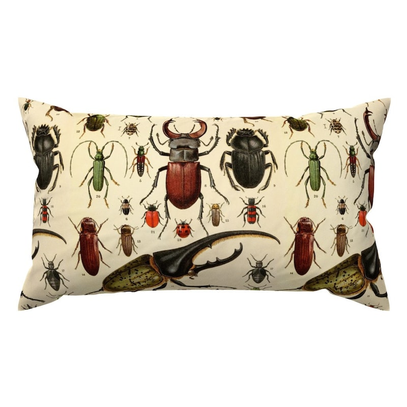 Insect Pillow - Etsy