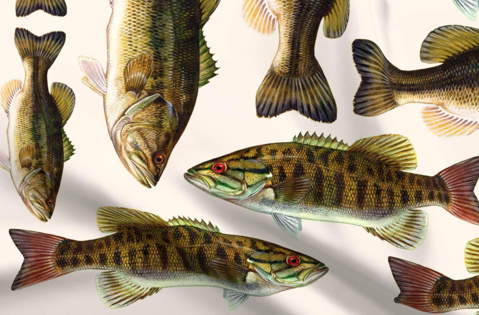 Fishing Sheets Bass Fish by Weavingmajor Freshwater Fish Painted Rustic ...