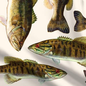 Fishing Sheets - Bass Fish by Weavingmajor - Freshwater Fish Painted ...