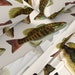 Fishing Sheets Bass Fish by Weavingmajor Freshwater Fish Painted Rustic ...