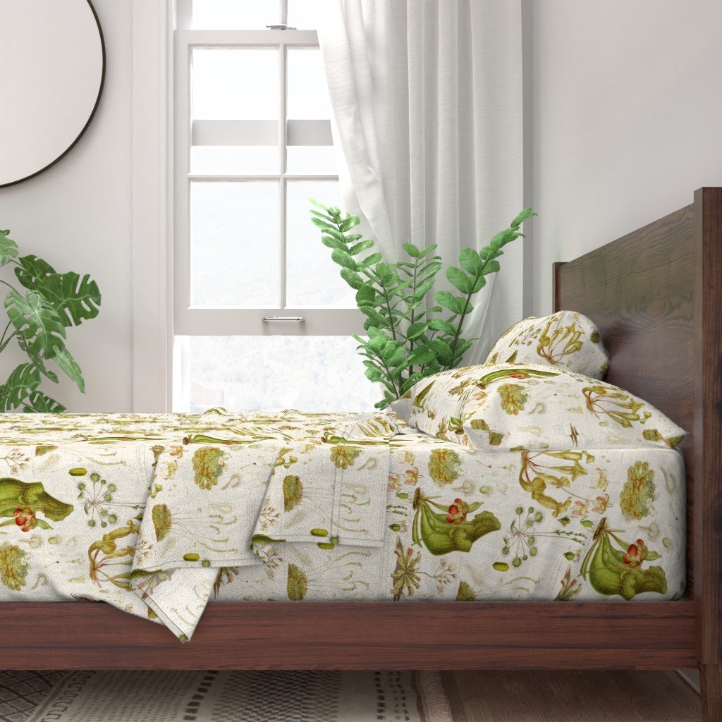 Botanical Sheets Carnivorous Plant Illustration by | Etsy