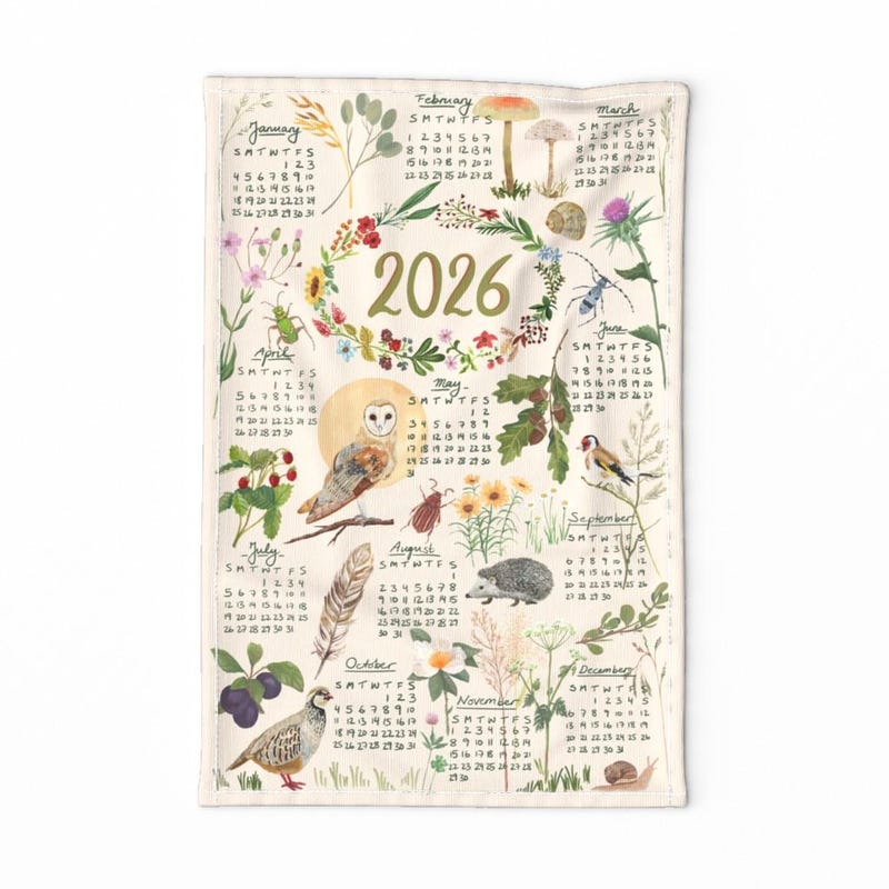 Owls 2026 Calendar - Etsy
